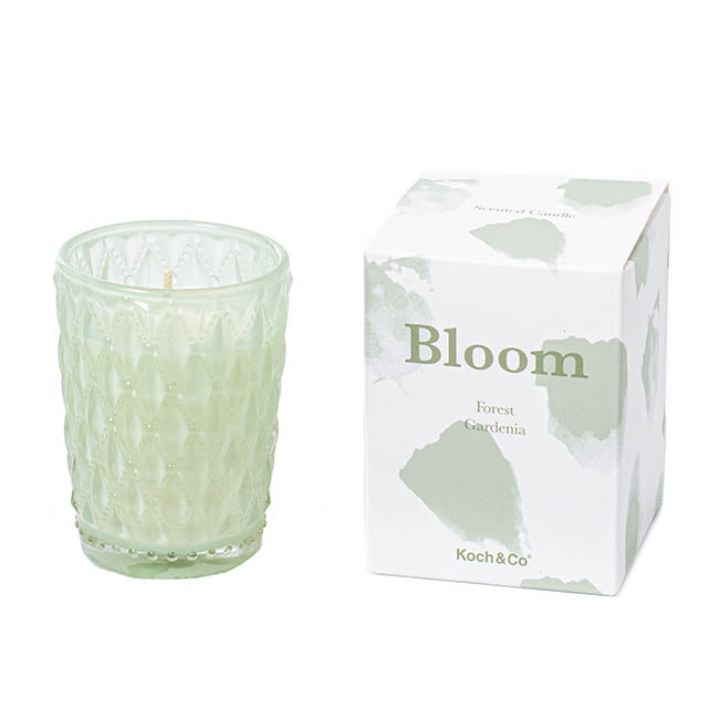 Scented Candle Bloom | The Cupcake Room